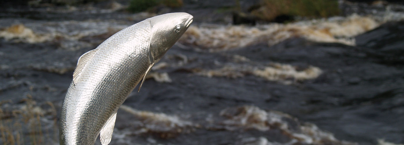 catch-and-release-deveron - The Deveron, Bogie and Isla Rivers ...